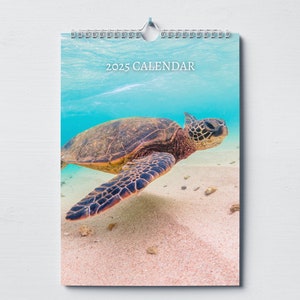 Turtle Calendar 2025: Monthly Wall Calendar With Notes, Hanging A4 Size ...