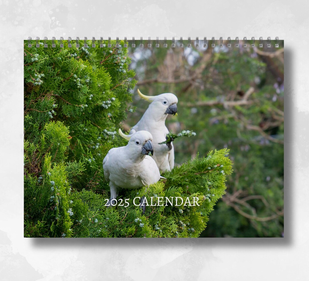 Cockatoo Calendar 2025: Monthly Wall Calendar, A4 | Hanging Calendar ...