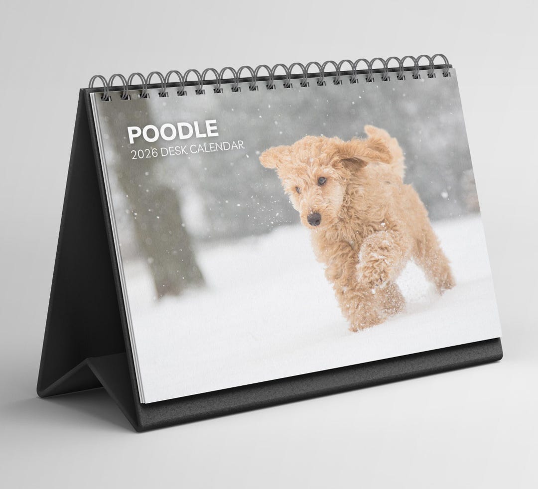 Poodle Desk Calendar 2026-2027: Standing Flip Desktop Calendar With ...