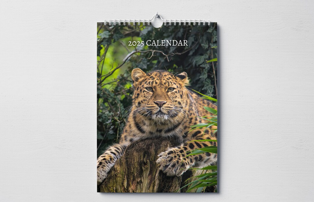 Leopard Calendar 2025: Monthly Wall Calendar With Notes, Hanging A4 ...