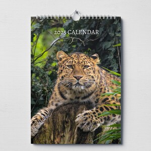 Leopard Calendar 2025: Monthly Wall Calendar With Notes, Hanging A4 ...