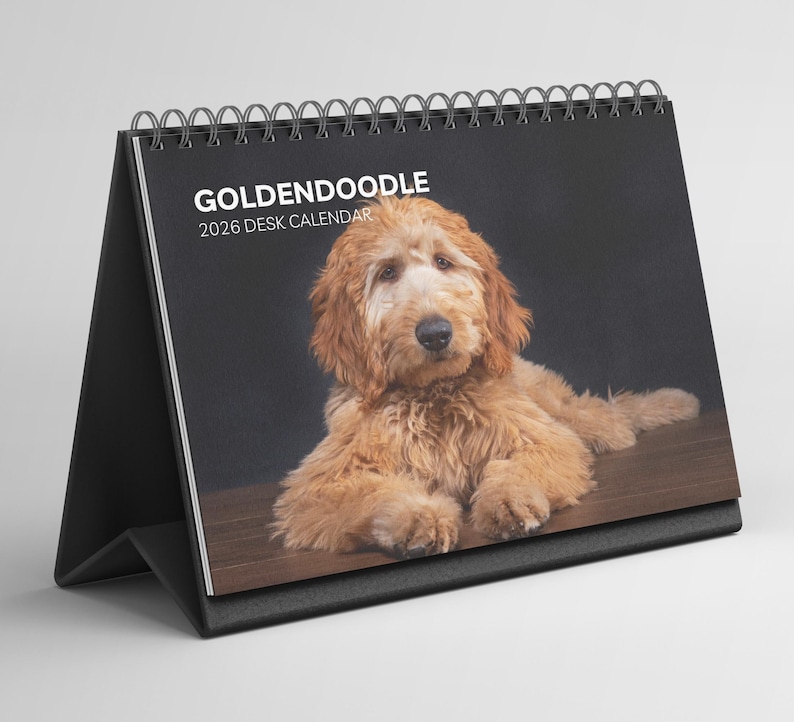 Goldendoodle Desk Calendar 2026-2027: Standing Flip Desktop Calendar ...
