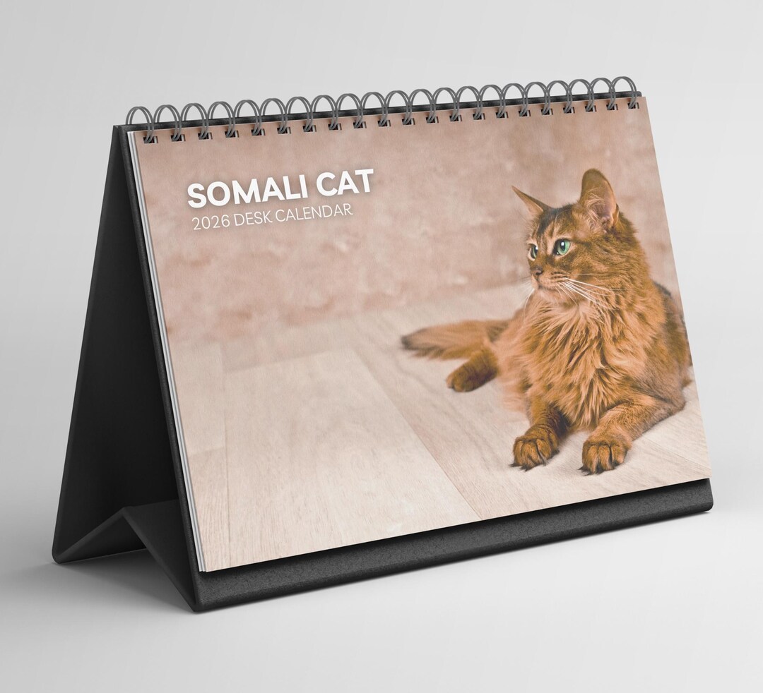 Somali Cat Desk Calendar 2026-2027: Standing Flip Desktop Calendar With ...