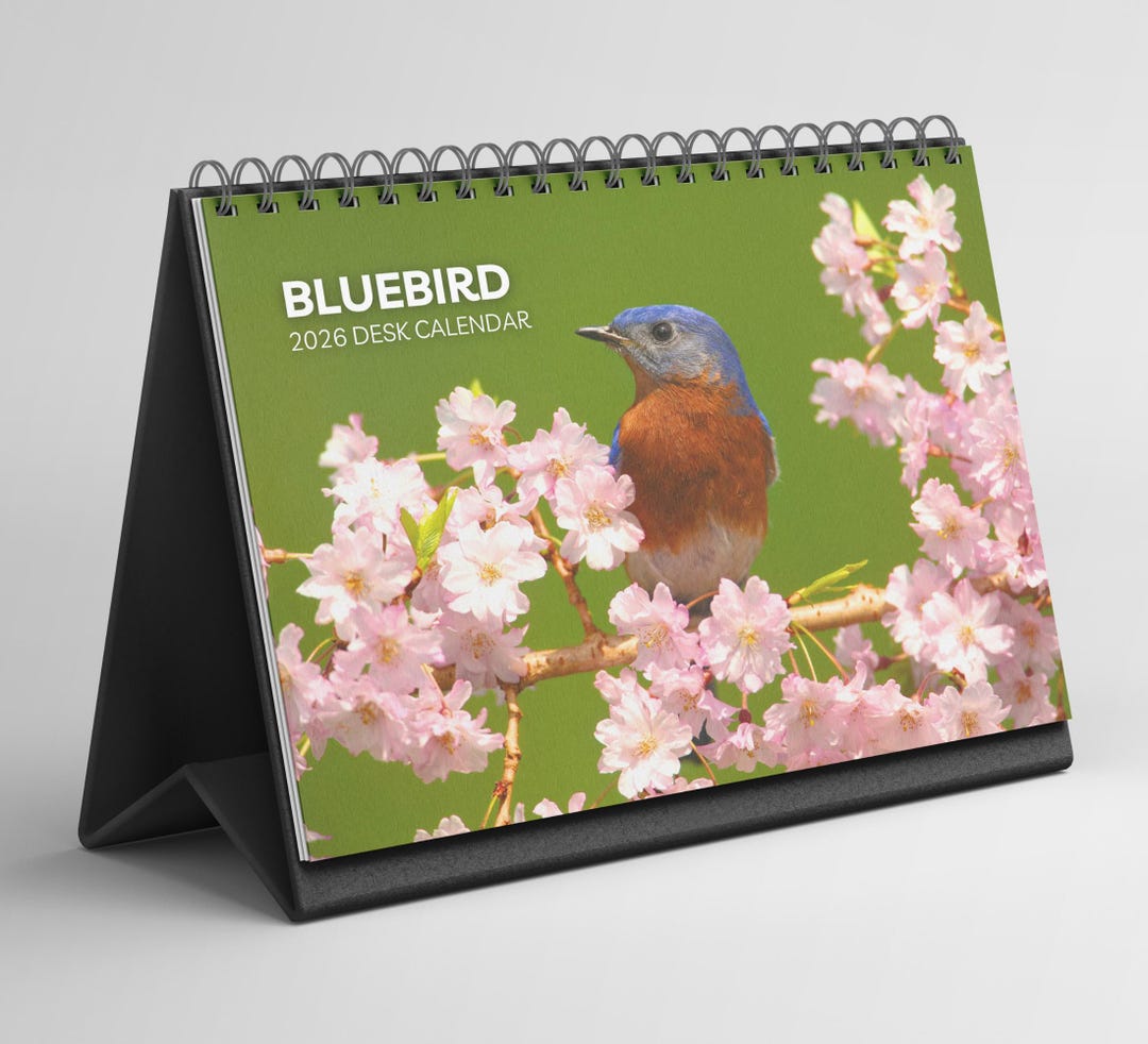 Bluebird Desk Calendar 2026-2027: Standing Flip Desktop Calendar With ...