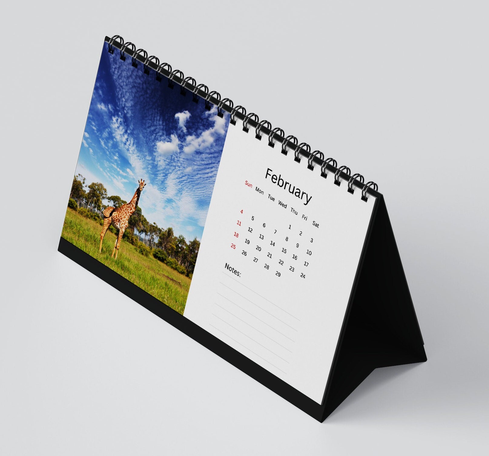 Giraffe Desk Calendar 2024 Desktop Calendar Giraffe - Etsy