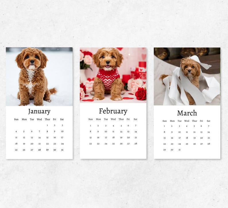 Cavapoo Calendar 2026: Mini Desk Calendar, Cavapoo Calendar 2026-2027 ...