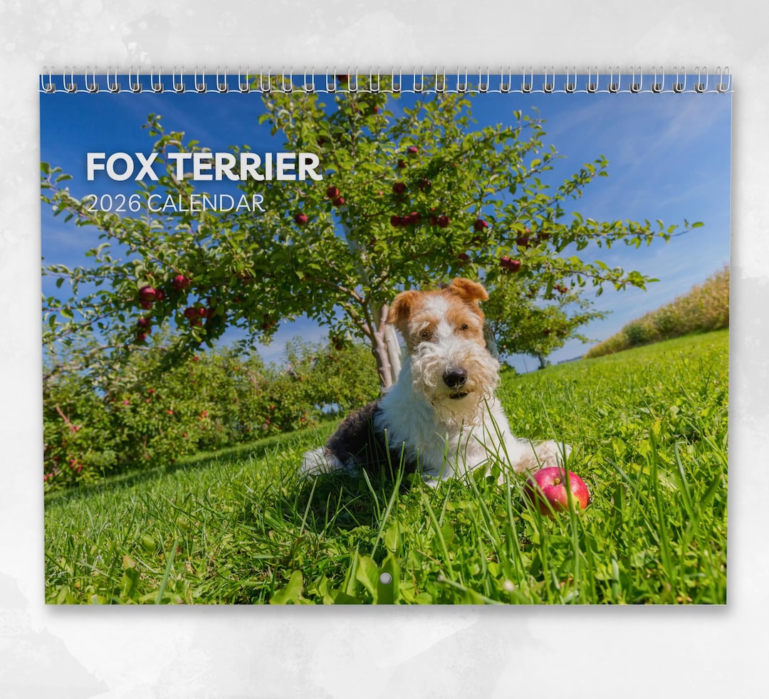 Fox Terrier Calendar 2026: Monthly Wall Calendar With Notes, Opens to ...