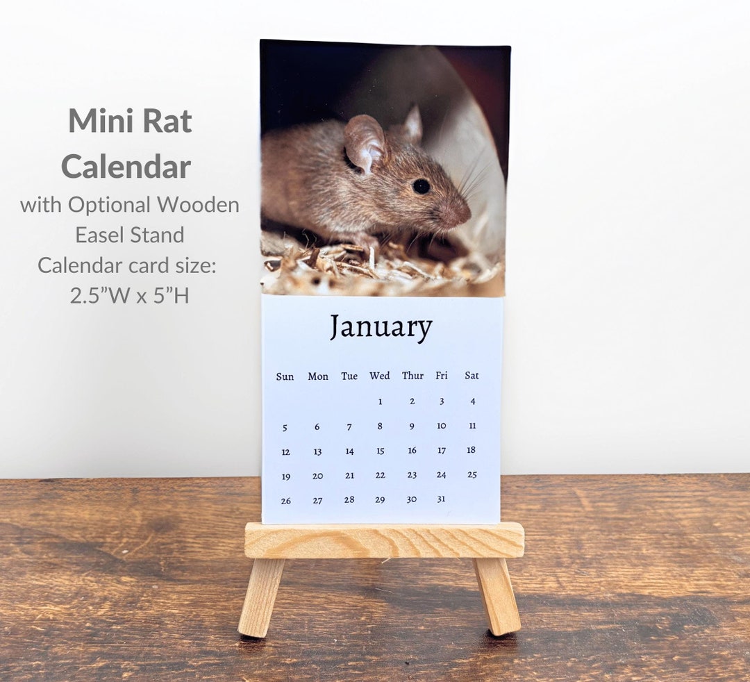 Rat Calendar 2025: Mini Desk Calendar, Rat Calendar 2025-2026, Perfect ...