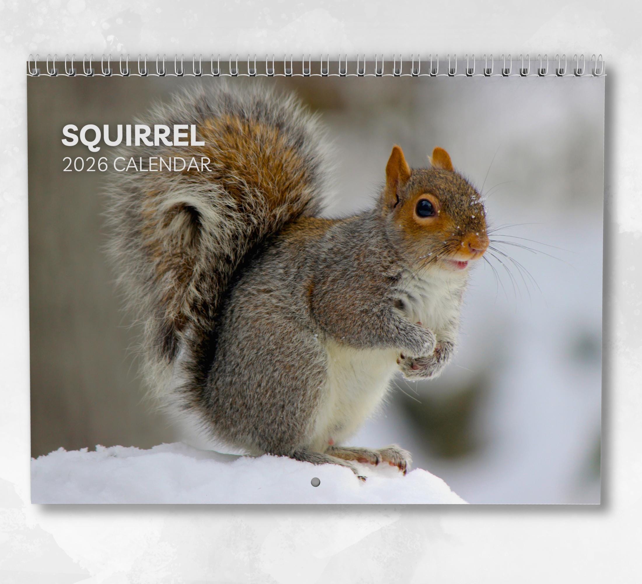 Squirrel Calendar 2026: Monthly Wall Calendar With Notes, Opens to A3 ...