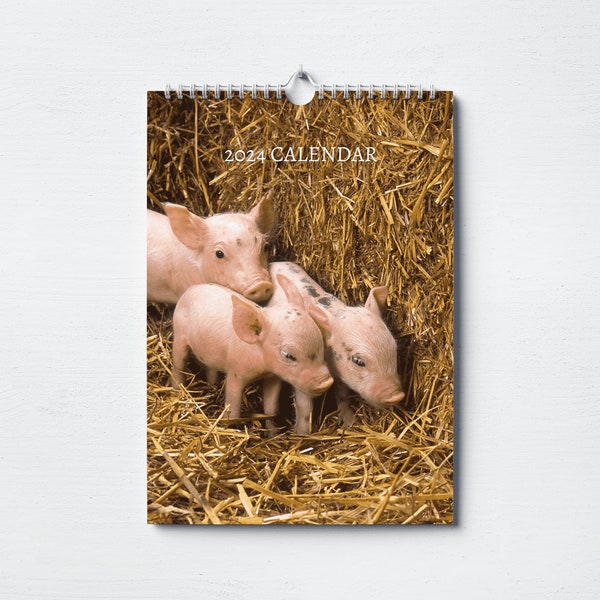 Pig Wall Hanging - Etsy
