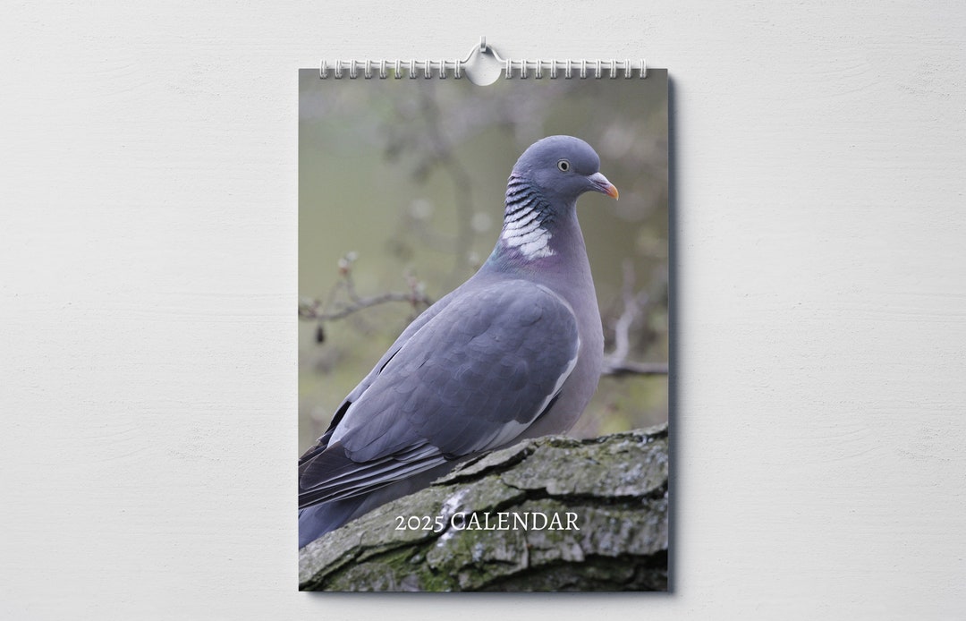 Pigeon Calendar 2025: Monthly Wall Calendar With Notes, Hanging A4 Size ...
