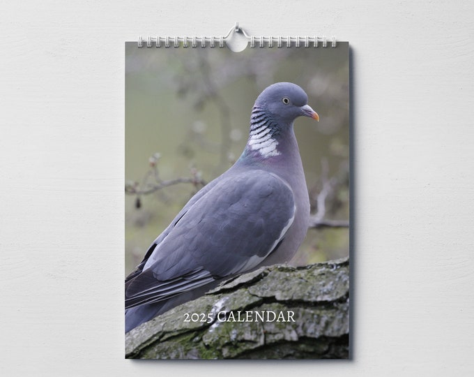 Caterpillar Calendar 2025: Monthly Wall Calendar With Notes, Hanging A4 ...