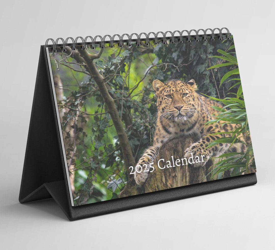Leopard Desk Calendar 2025-2026: Standing Flip Desktop Calendar With ...
