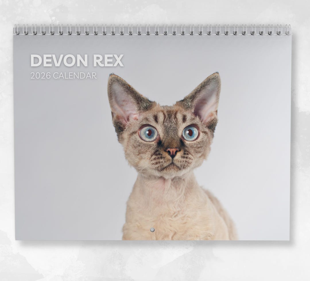 Devon Rex Calendar 2026: Monthly Wall Calendar With Notes, Opens to A3 ...