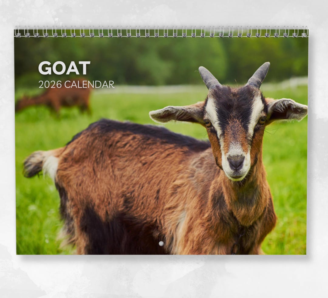Goat Calendar 2026: Monthly Wall Calendar With Notes, Opens to A3 Size ...