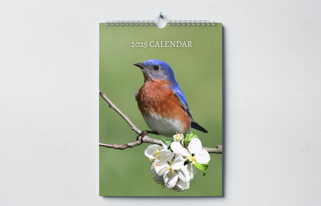 Bluebird Calendar 2025: Monthly Wall Calendar With Notes, Hanging A4 ...