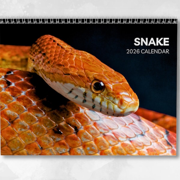 Wall Calendar 2026 Snake - Etsy