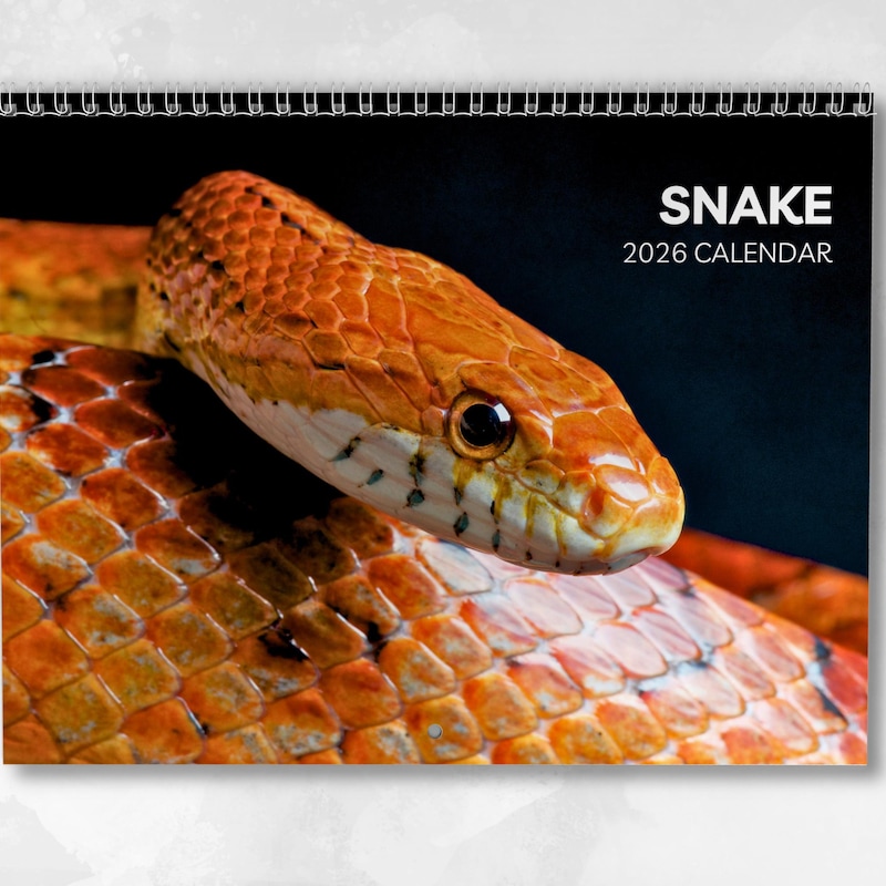 Wall Calendar 2026 Snake - Etsy