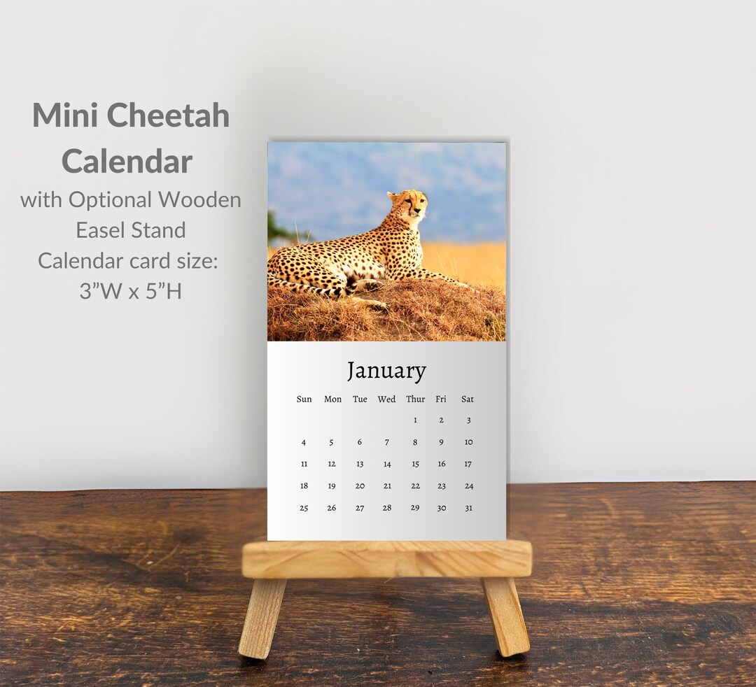 Cheetah Calendar 2026: Mini Desk Calendar, Cheetah Calendar 2026-2027 ...
