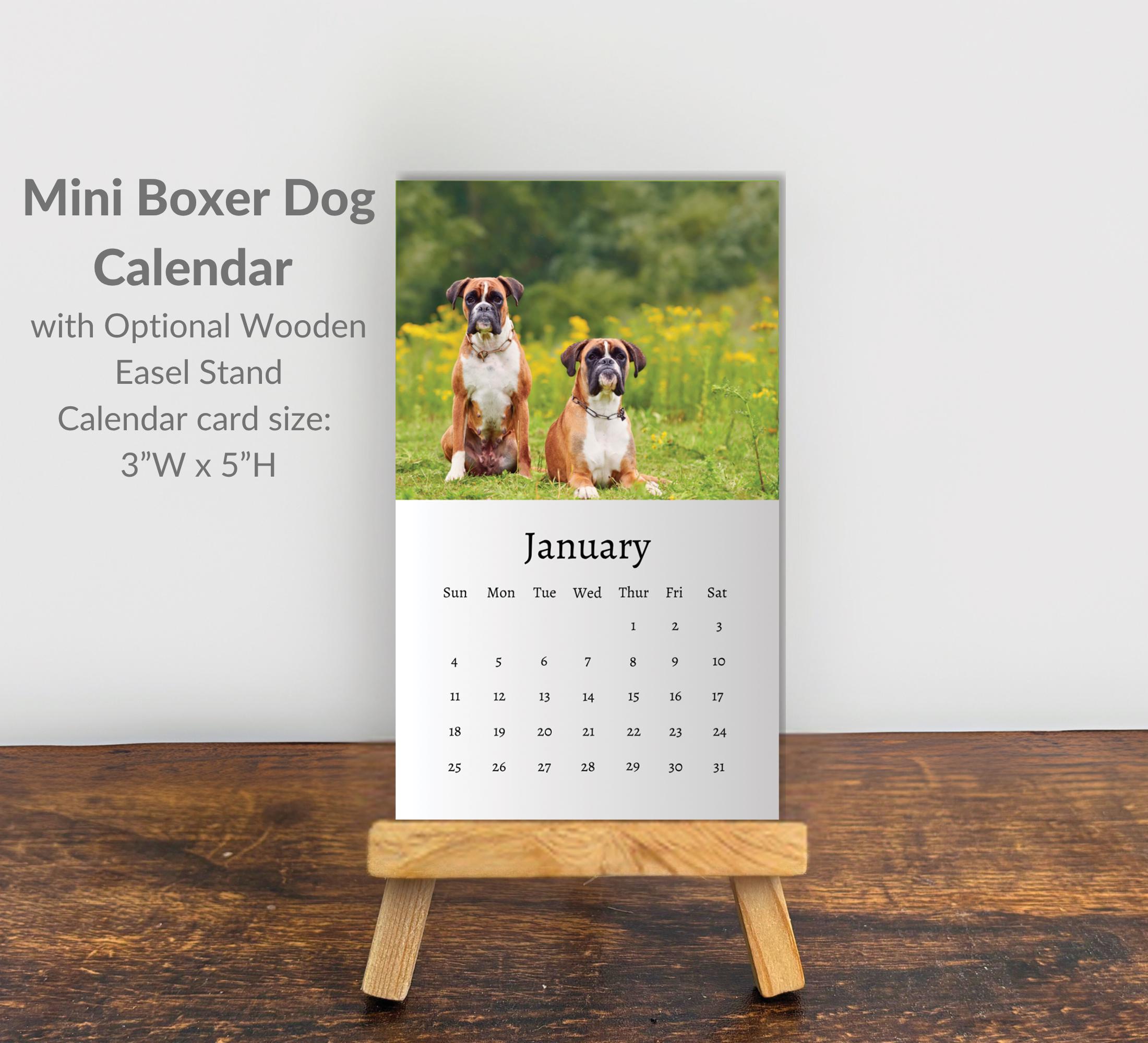 Boxer Dog Calendar 2026: Mini Desk Calendar, Boxer Dog Calendar 2026 ...