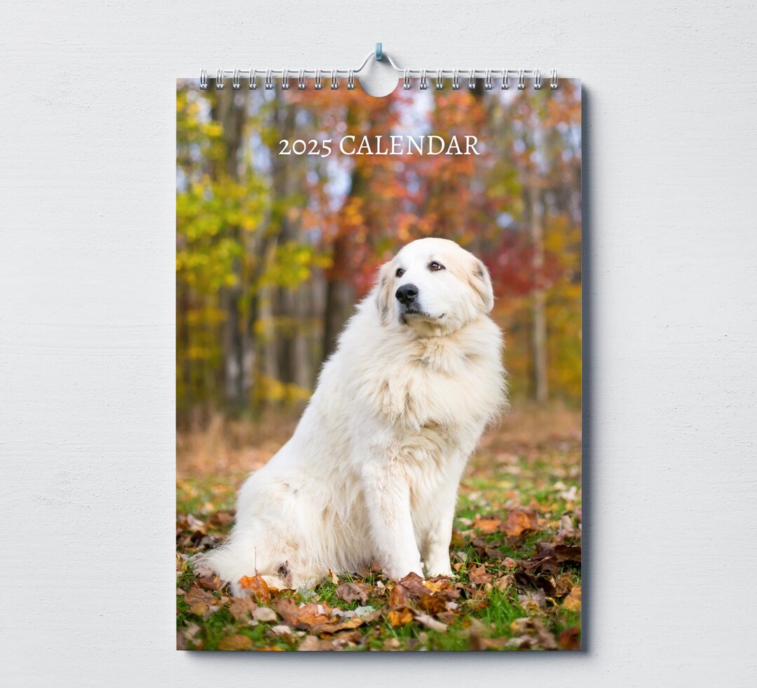 Great Pyrenees Calendar 2025: Monthly Wall Calendar With Notes, Hanging ...