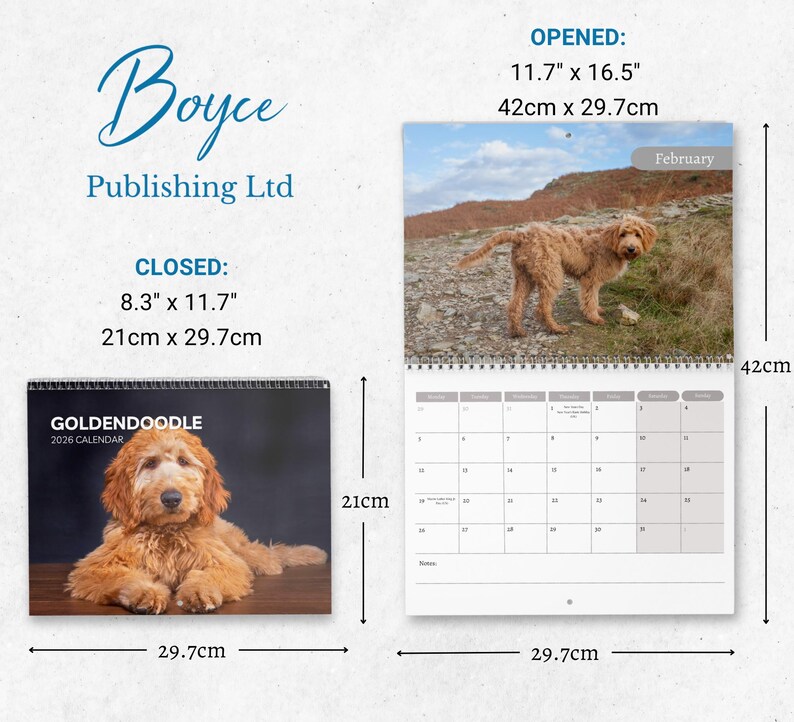 Goldendoodle Calendar 2026: Monthly Wall Calendar With Notes, Opens to ...