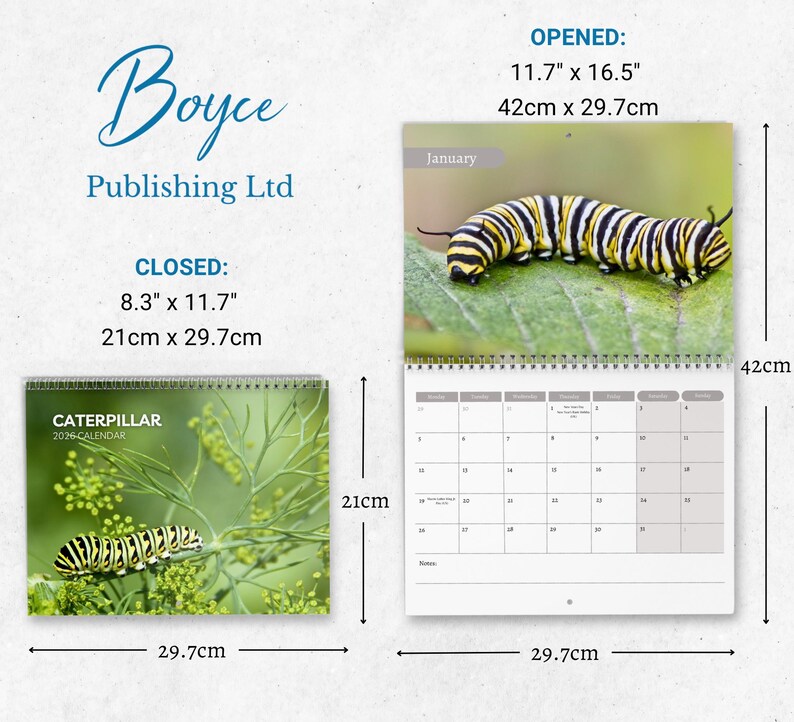 Caterpillar Calendar 2026: Monthly Wall Calendar With Notes, Opens to ...