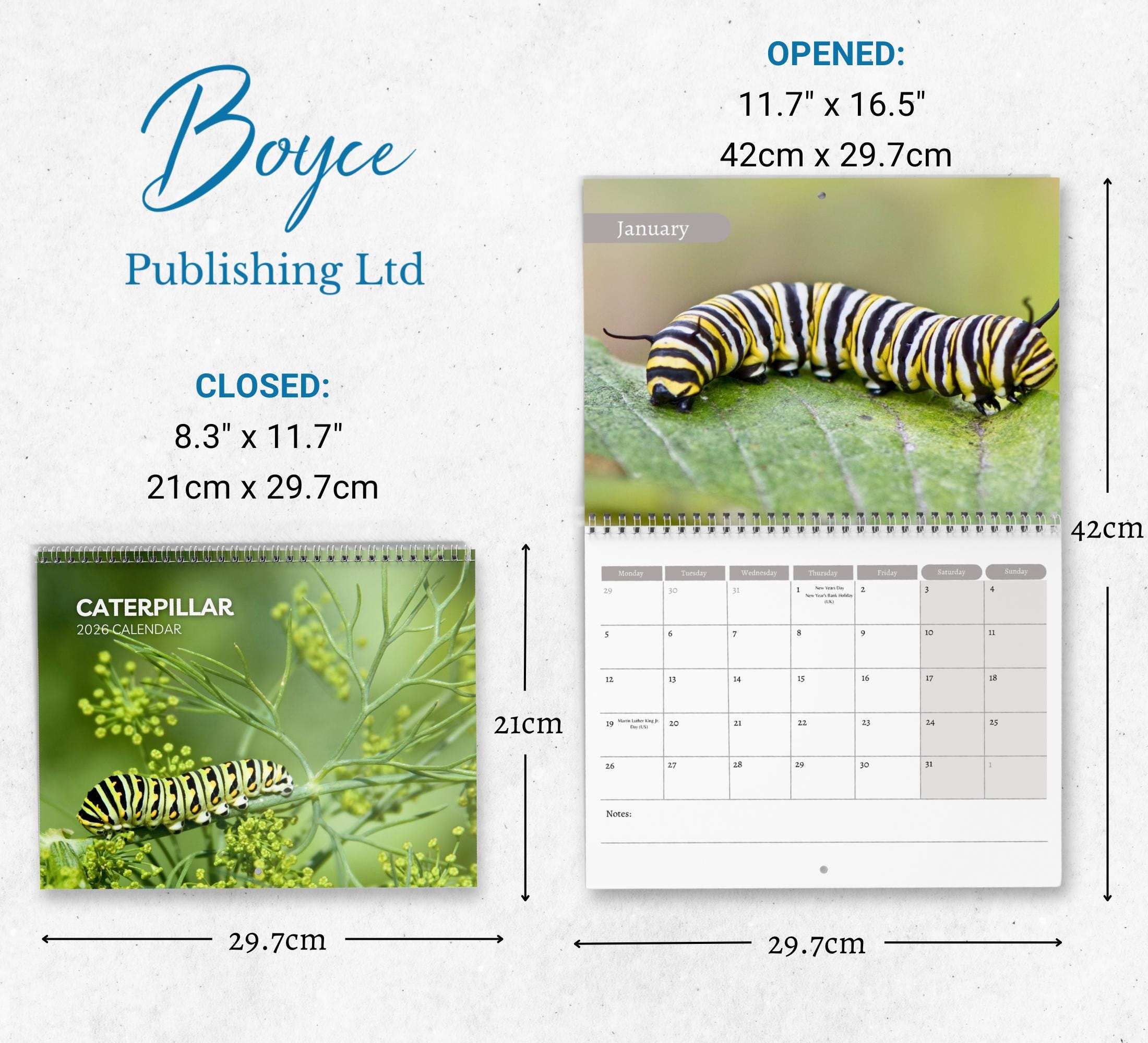 Caterpillar Calendar 2026: Monthly Wall Calendar With Notes, Opens to ...
