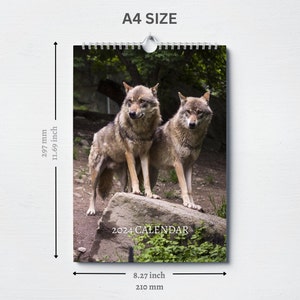 Wolf Calendar 2024 Monthly Wall Calendar, A4 Hanging Calendar Perfect ...