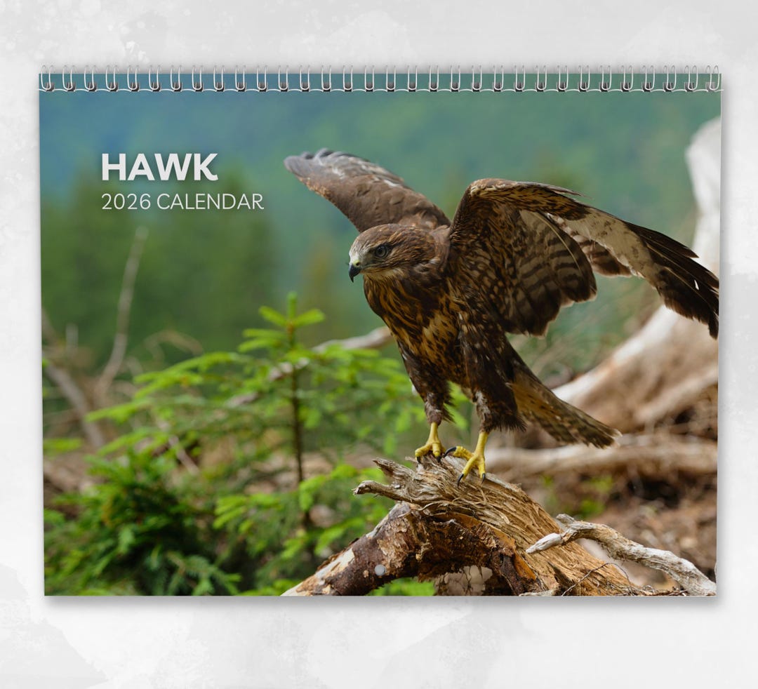 Hawk Calendar 2026: Monthly Wall Calendar With Notes, Opens to A3 Size ...