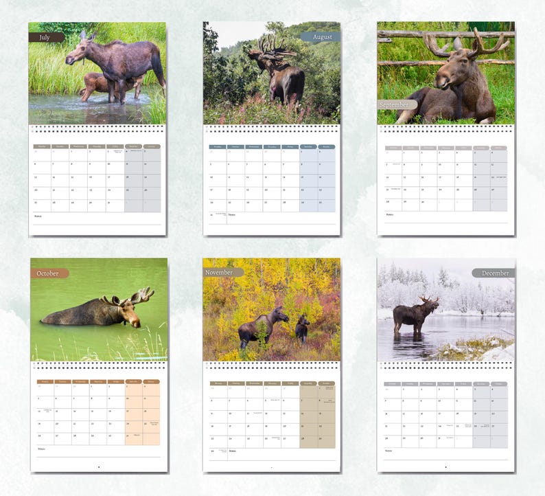 Moose Calendar 2026: Monthly Wall Calendar With Notes, Opens to A3 Size ...