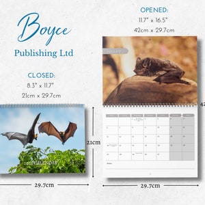 Bat Calendar 2025: Monthly Wall Calendar With Notes, Opens to A3 Size ...