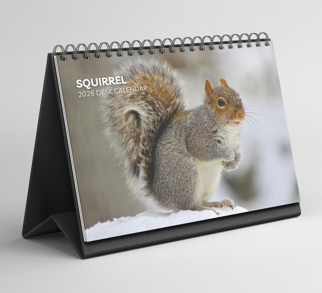 Squirrel Desk Calendar 2026-2027: Standing Flip Desktop Calendar With ...