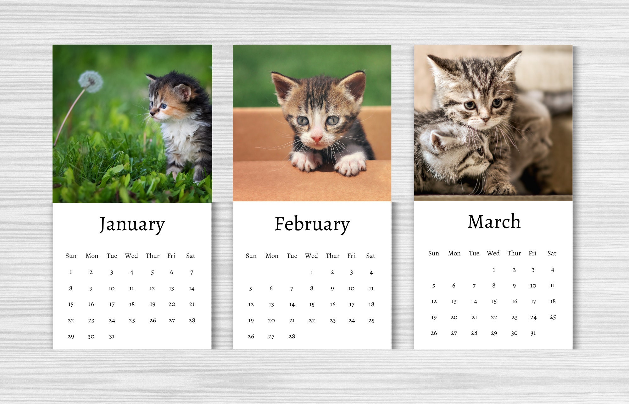 Kitten Calendar 2024 Mini Desk Calendar Kitten Calendar - Etsy