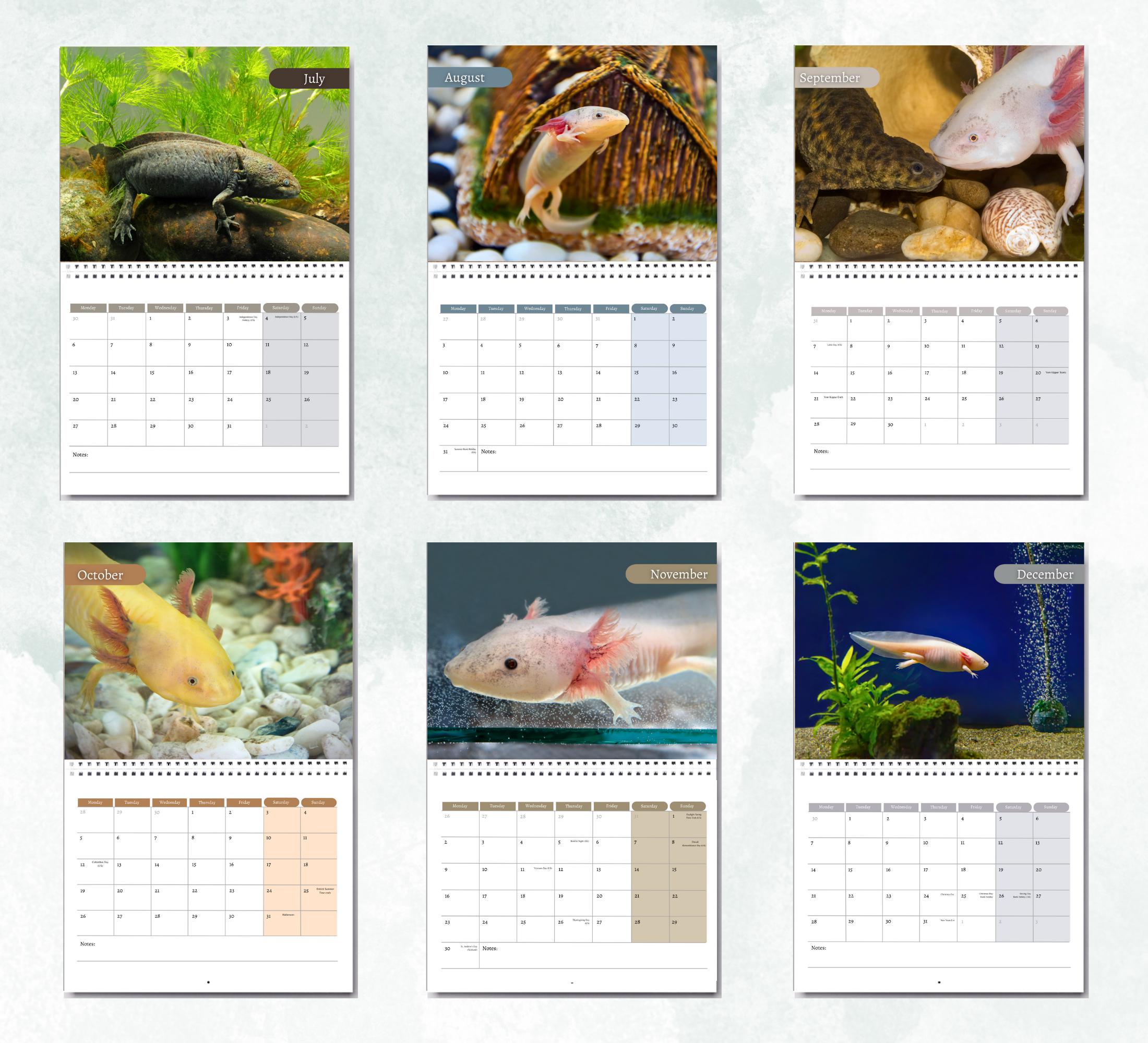 Axolotl Calendar 2026: Monthly Wall Calendar With Notes, Opens to A3 ...