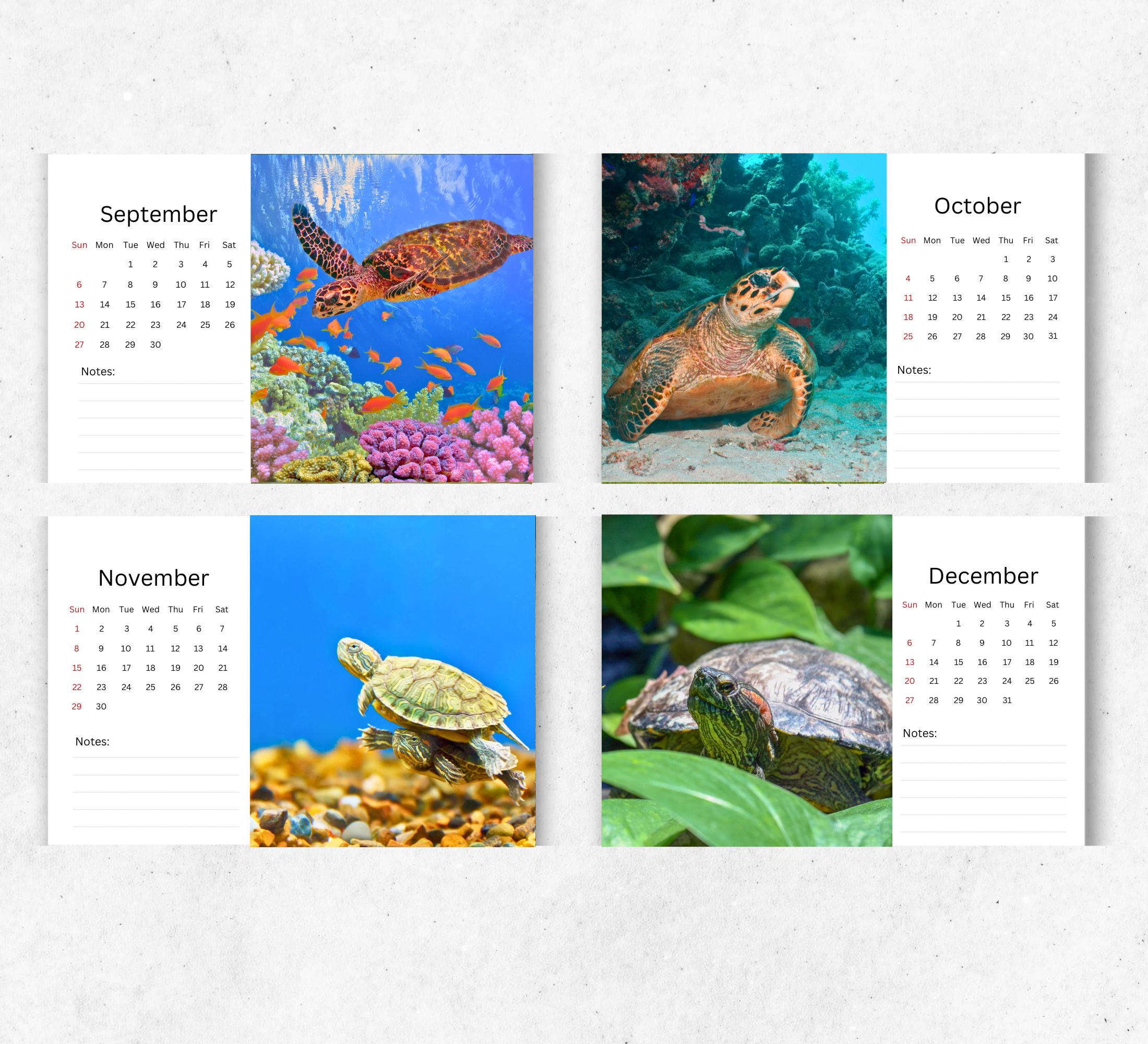 Turtle Desk Calendar 2026-2027: Standing Flip Desktop Calendar With ...