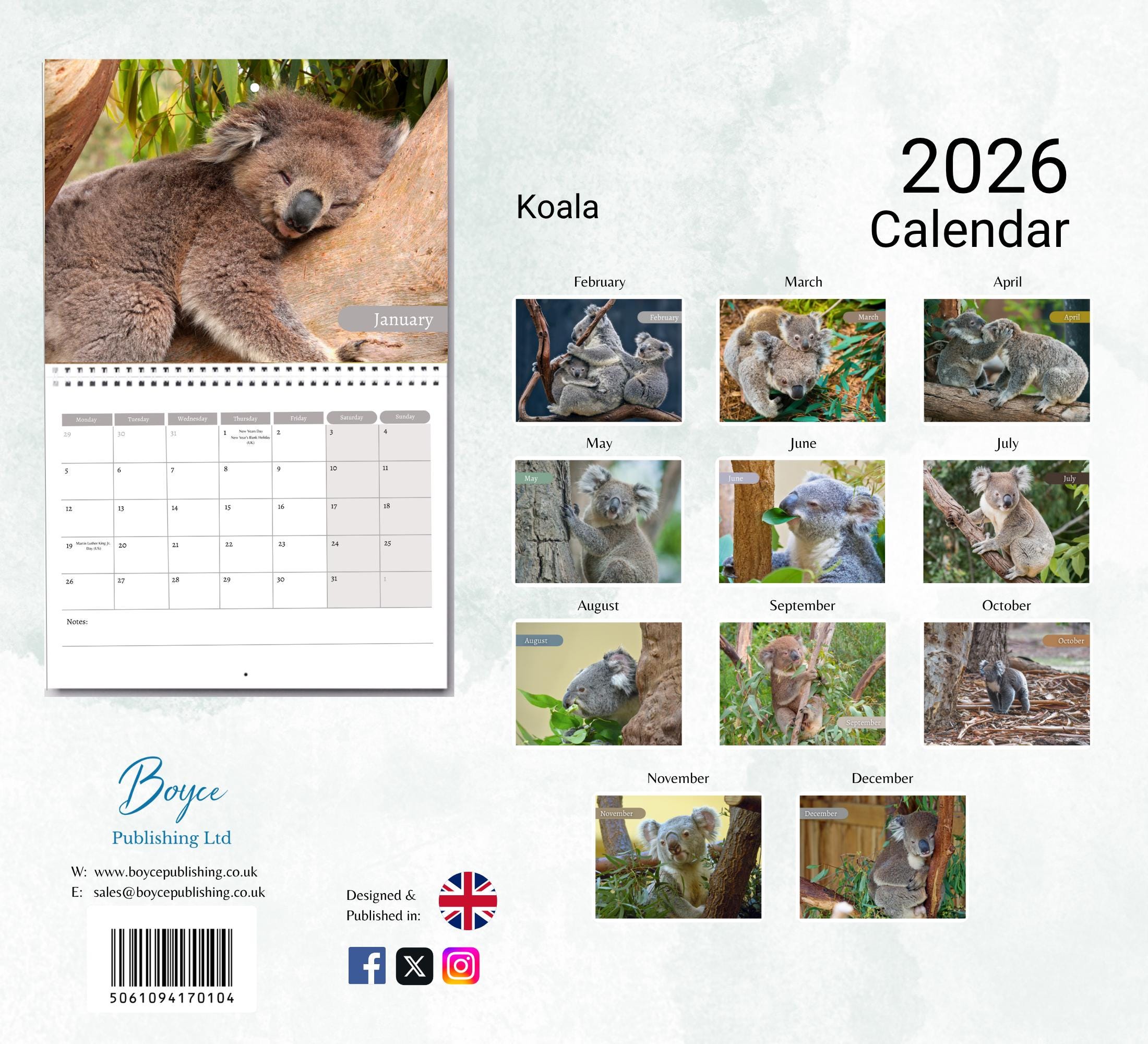 Koala Calendar 2026: Monthly Wall Calendar With Notes, Opens to A3 Size ...