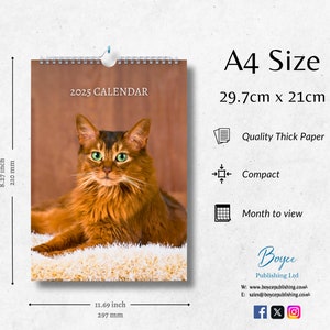 Somali Cat Calendar 2025: Monthly Wall Calendar With Notes, Hanging A4 ...