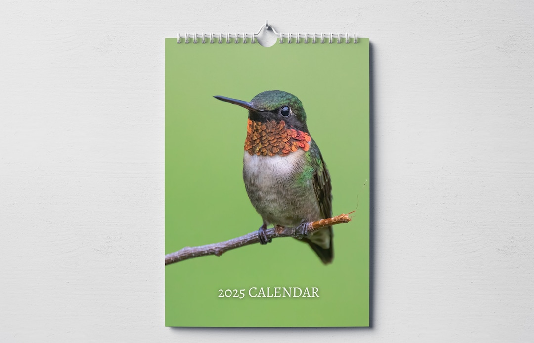 Hummingbird Calendar 2025: Monthly Wall Calendar With Notes, Hanging A4 ...