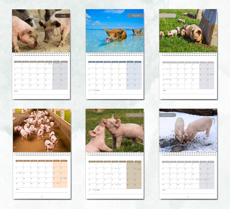Pigs Calendar 2026: Monthly Wall Calendar With Notes, Opens to A3 Size ...