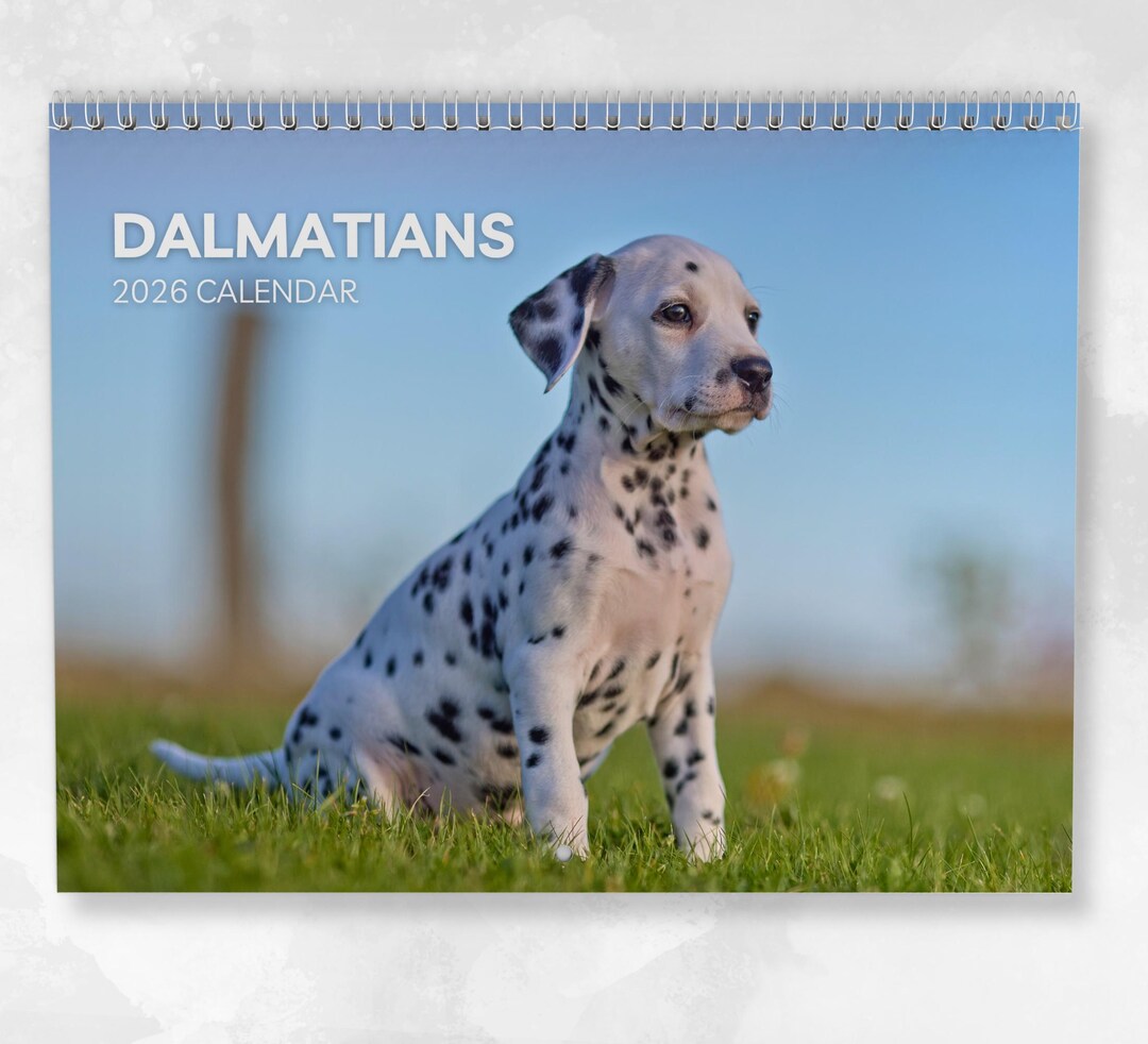 Dalmatian Calendar 2026: Monthly Wall Calendar With Notes, Opens to A3 ...