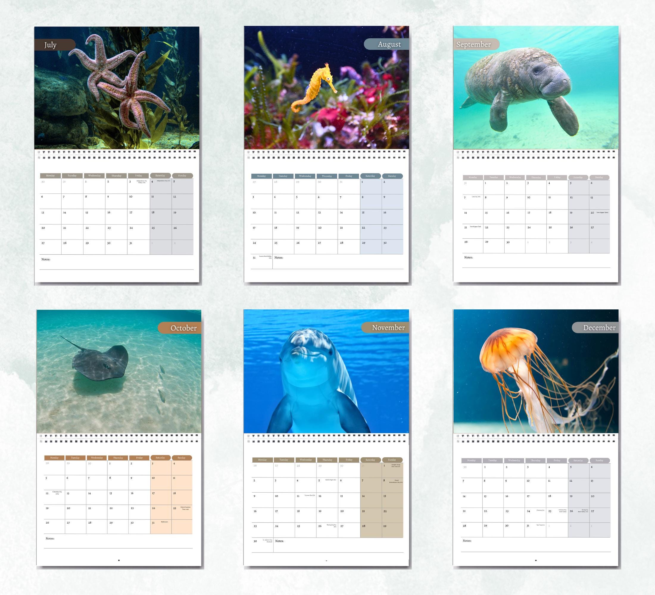 Under the Sea Calendar 2026: Monthly Wall Calendar With Notes, Opens to ...