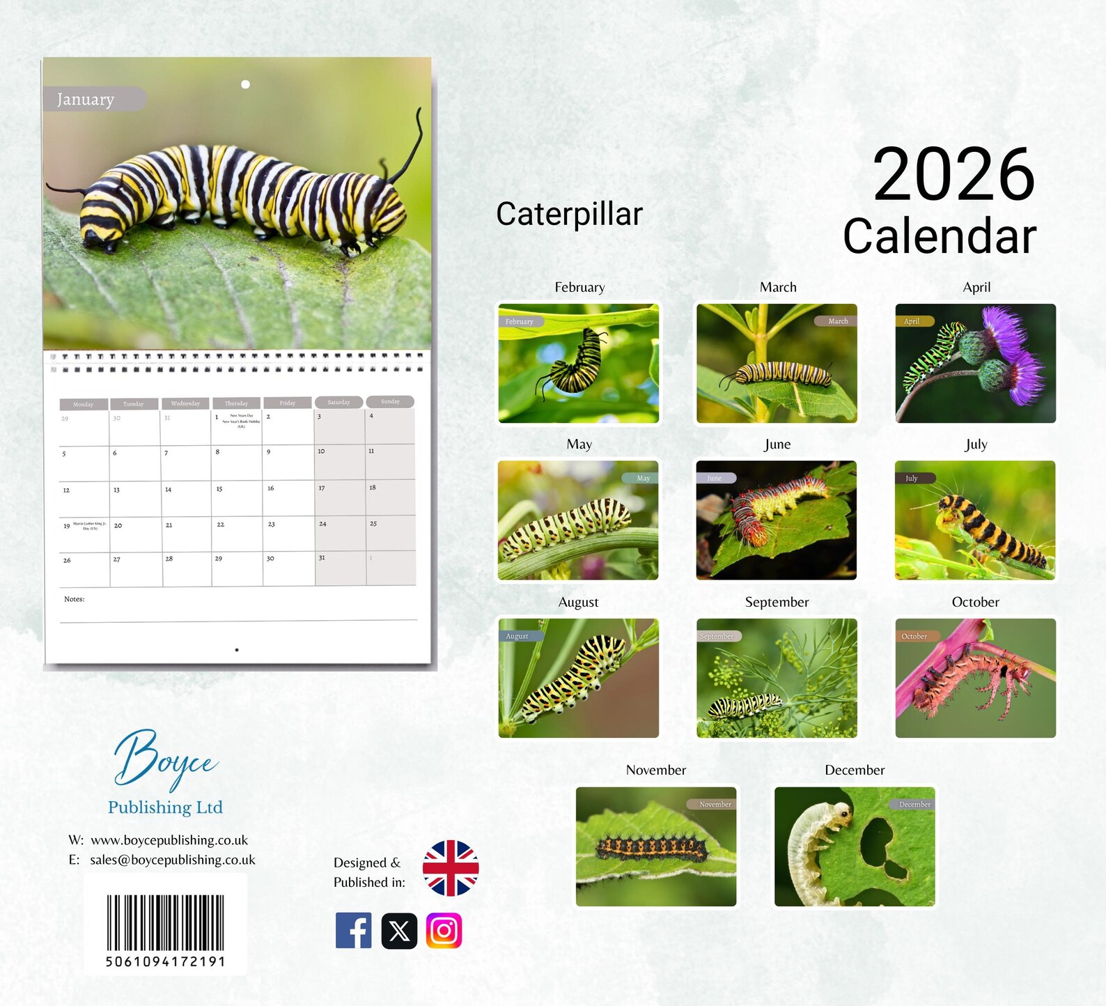 Caterpillar Calendar 2026: Monthly Wall Calendar With Notes, Opens to ...