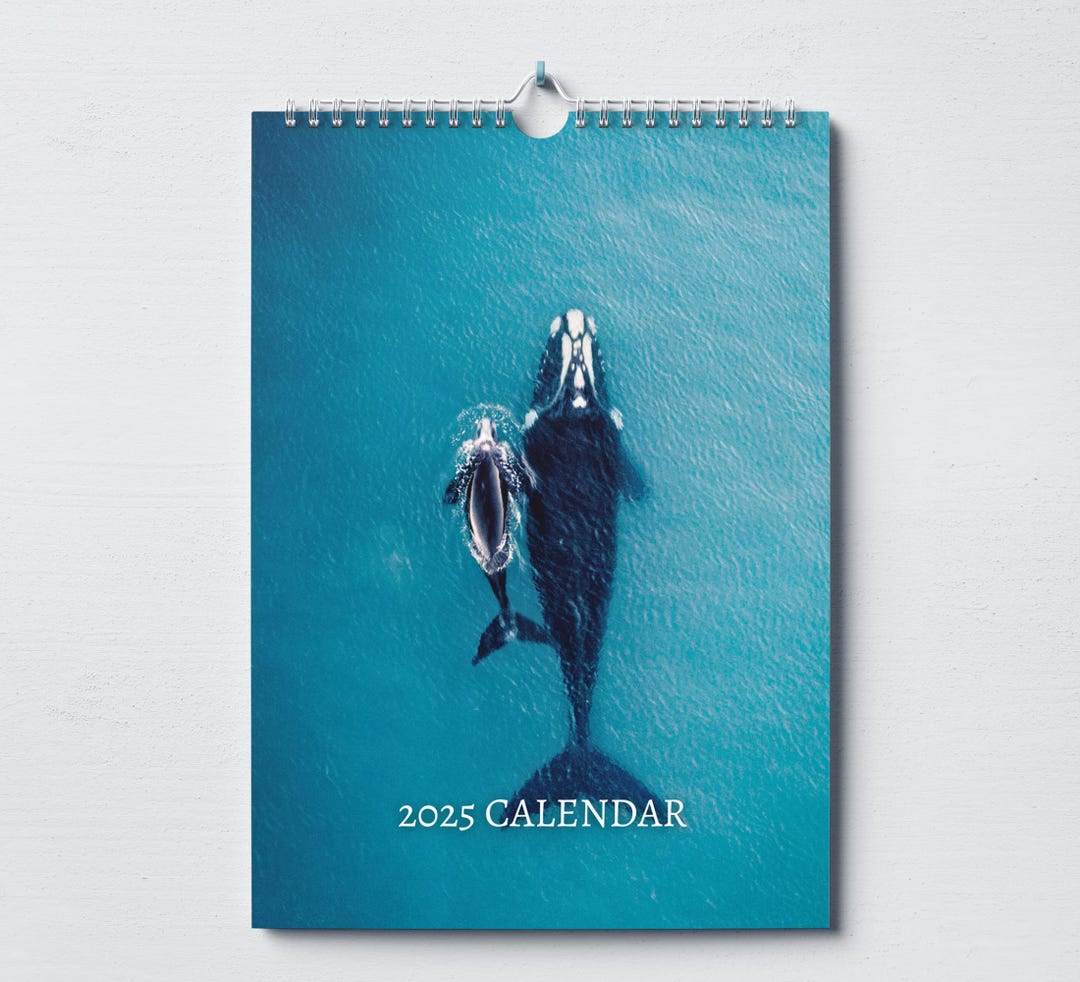 Whale Calendar 2025: Monthly Wall Calendar With Notes, Hanging A4 Size ...