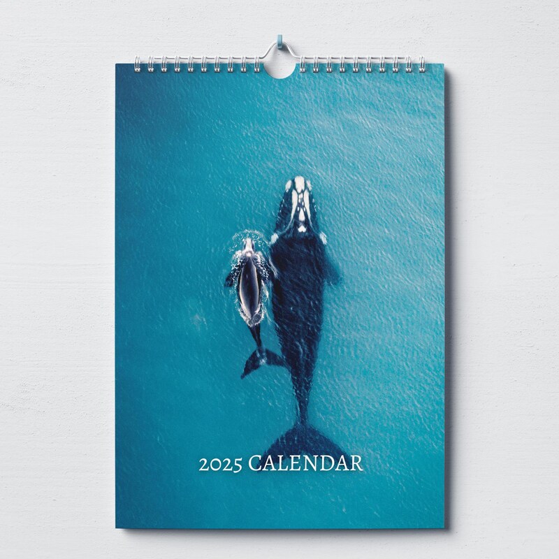 Whale - Etsy