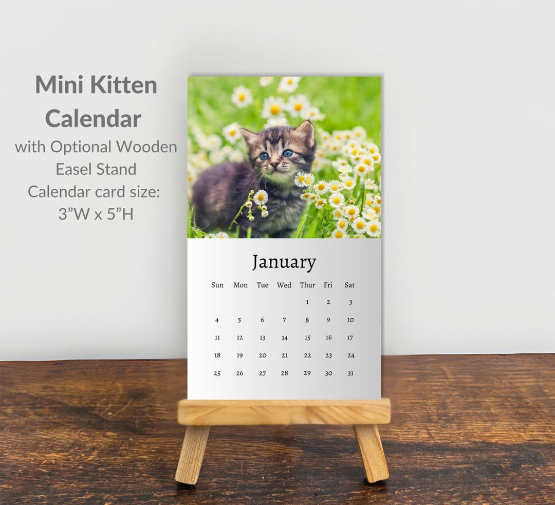 Kitten Calendar 2026: Mini Desk Calendar, Kitten Calendar 2026-2027 ...
