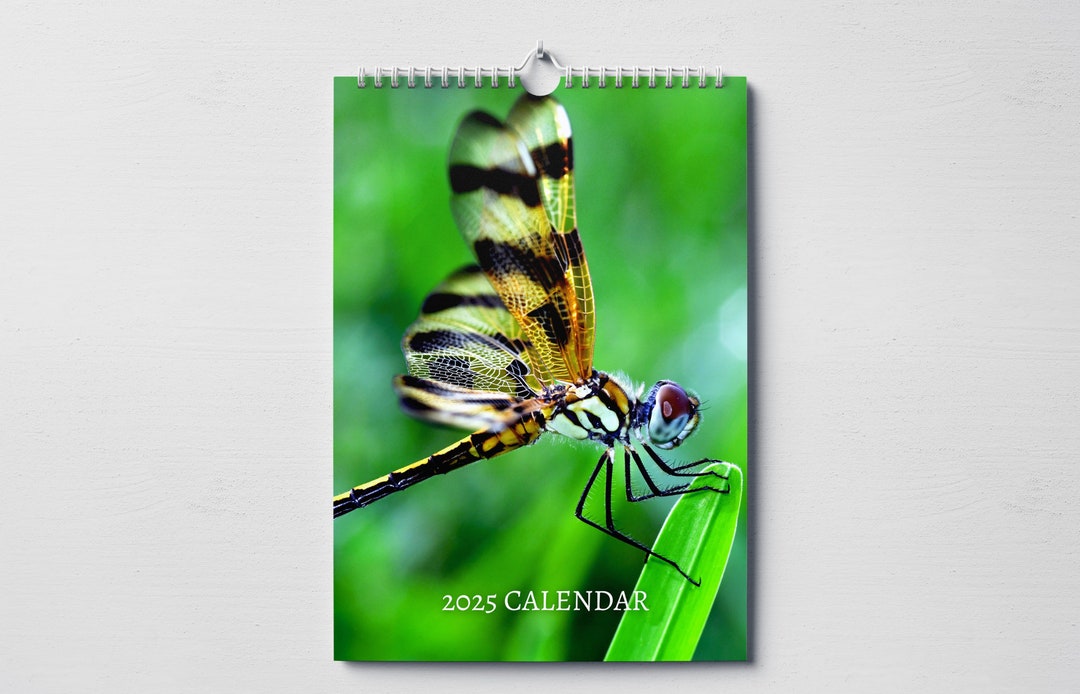 Dragonfly Calendar 2025: Monthly Wall Calendar With Notes, Hanging A4 ...