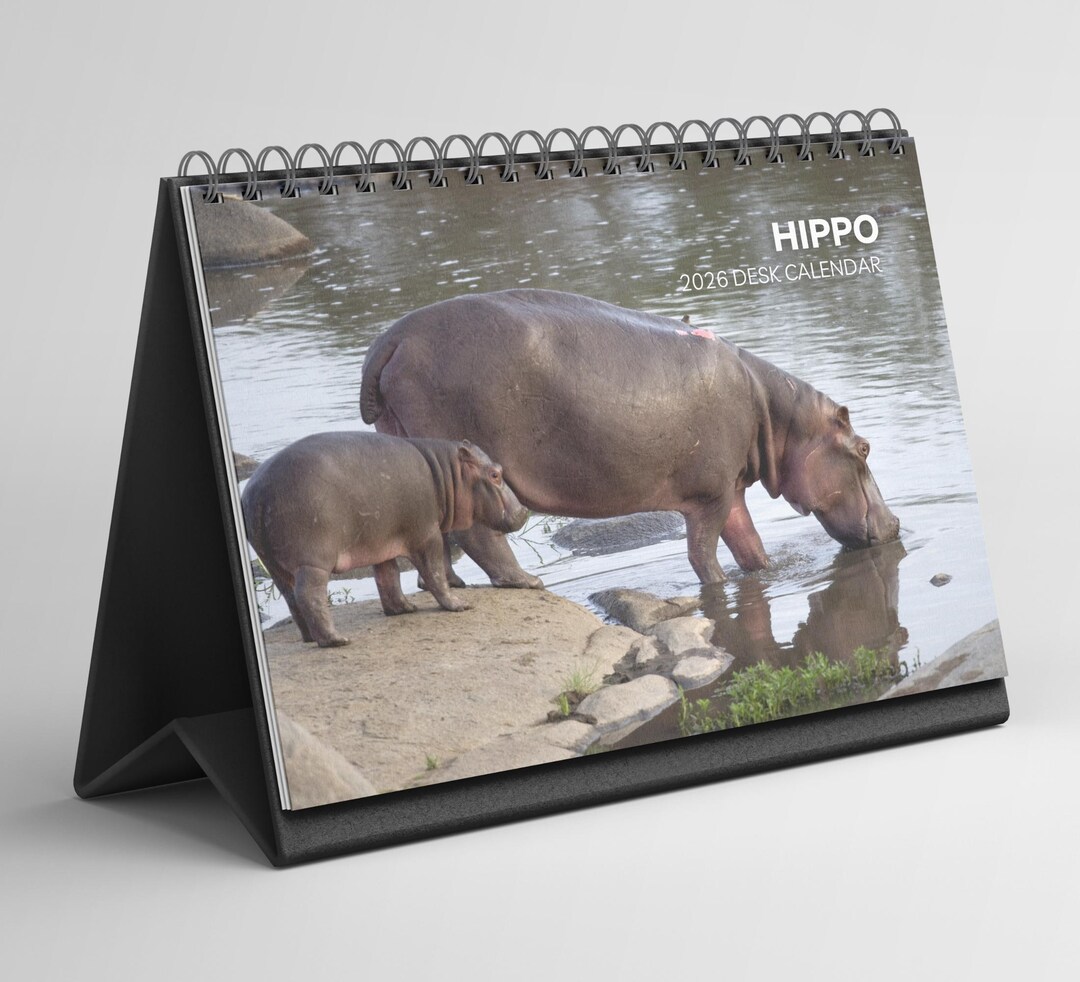 Hippo Desk Calendar 2026-2027: Standing Flip Desktop Calendar With ...