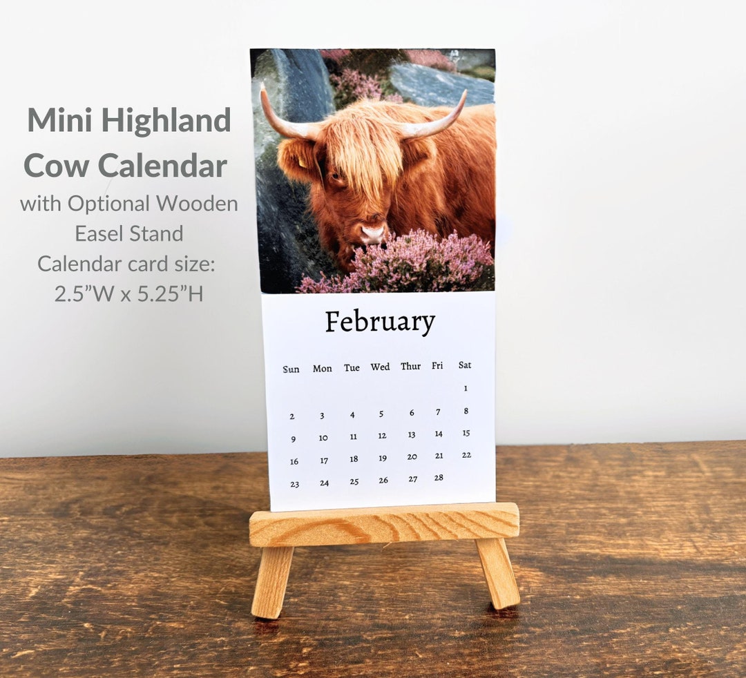 Highland Cow Calendar 2025: Mini Desk Calendar, Highland Cow Calendar ...