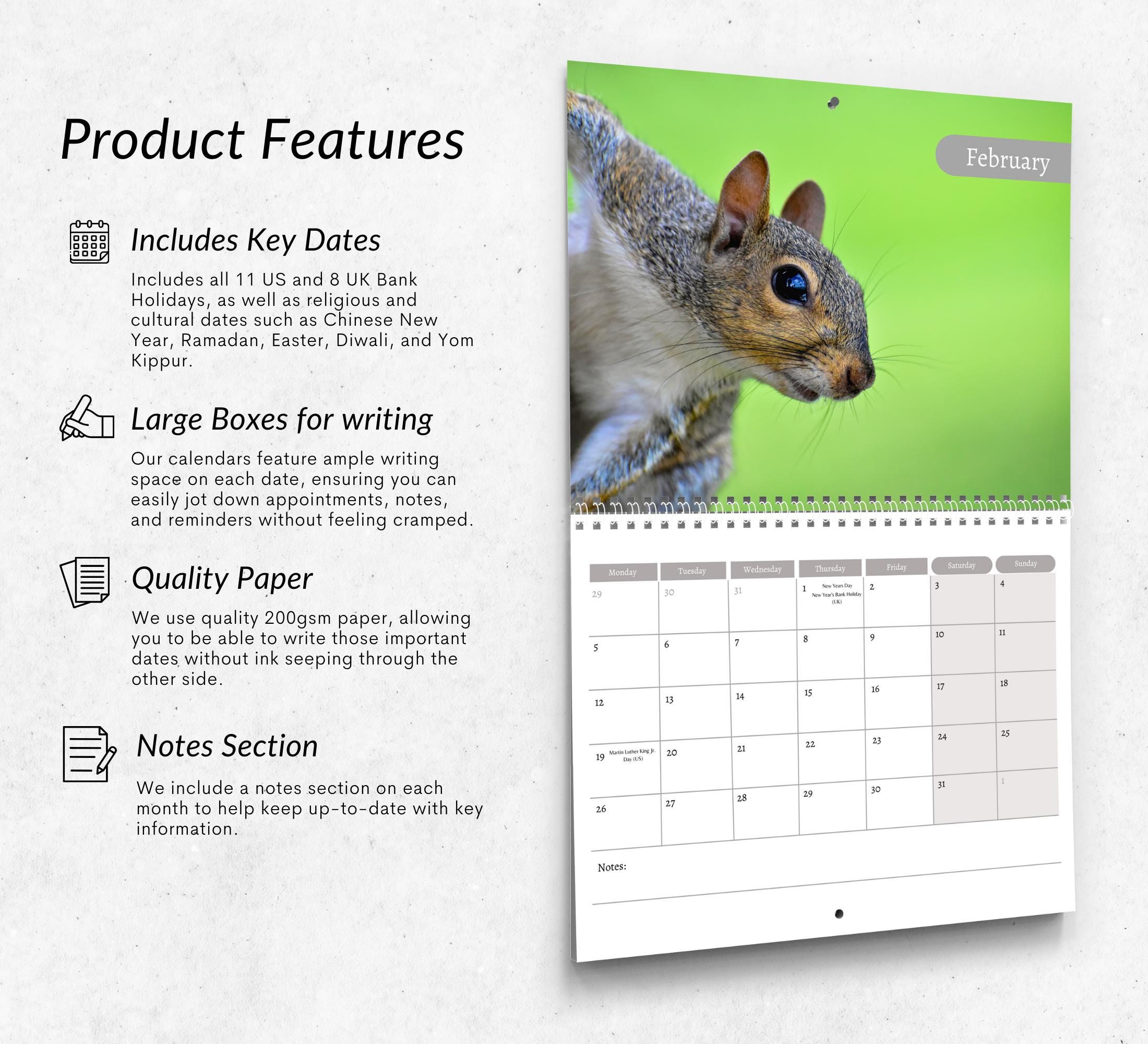 Squirrel Calendar 2026: Monthly Wall Calendar With Notes, Opens to A3 ...